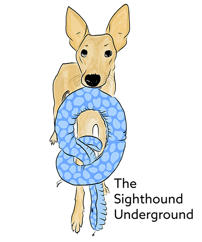 Killer Puppy – The Sighthound Underground